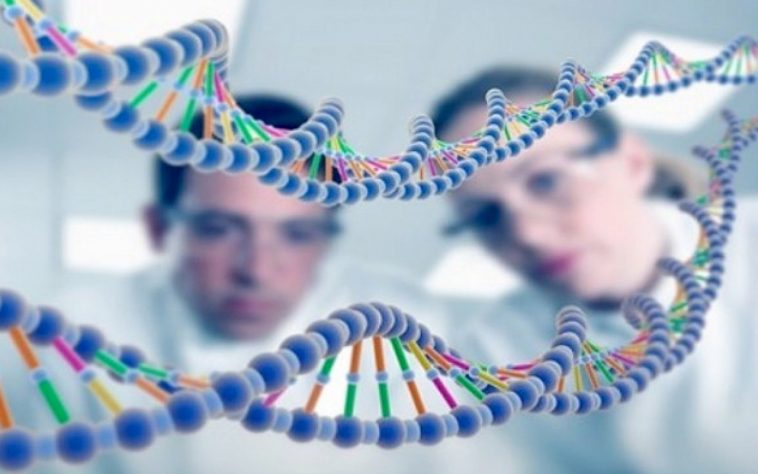 Los análisis genéticos están ahora a nuestro alcance | El LibrePensador