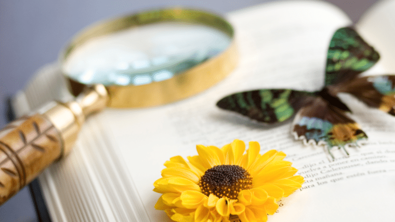 ¿Qué es la Bioética y para qué sirve?